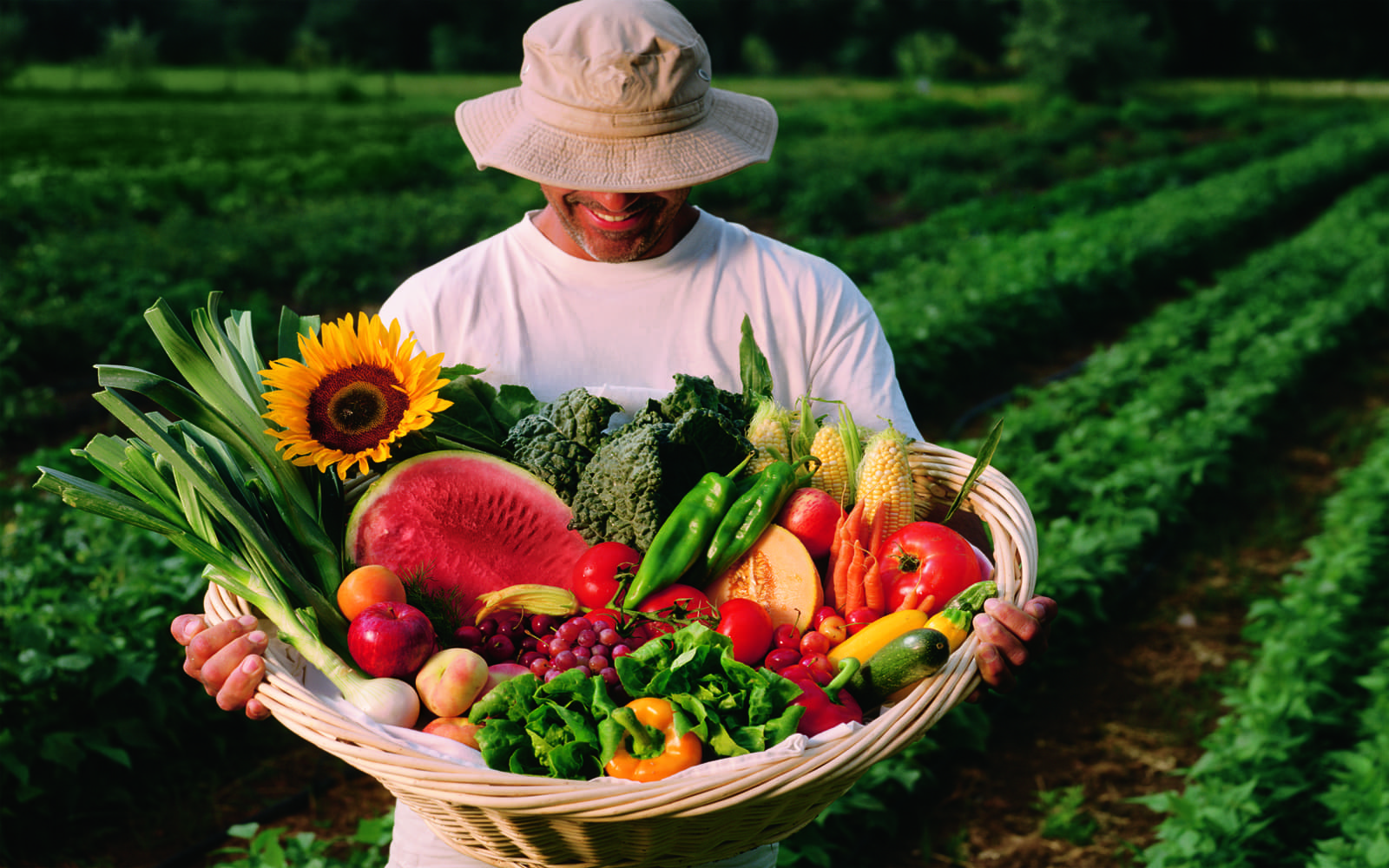 Healthy Food for NM & More Business for Local Farmers | Double Up Food ...